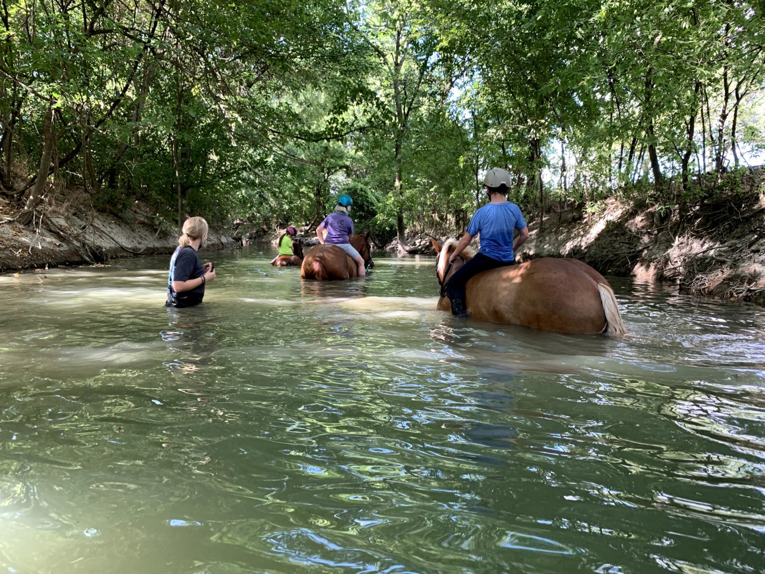 About Our Programs - Healing with Horses Ranch