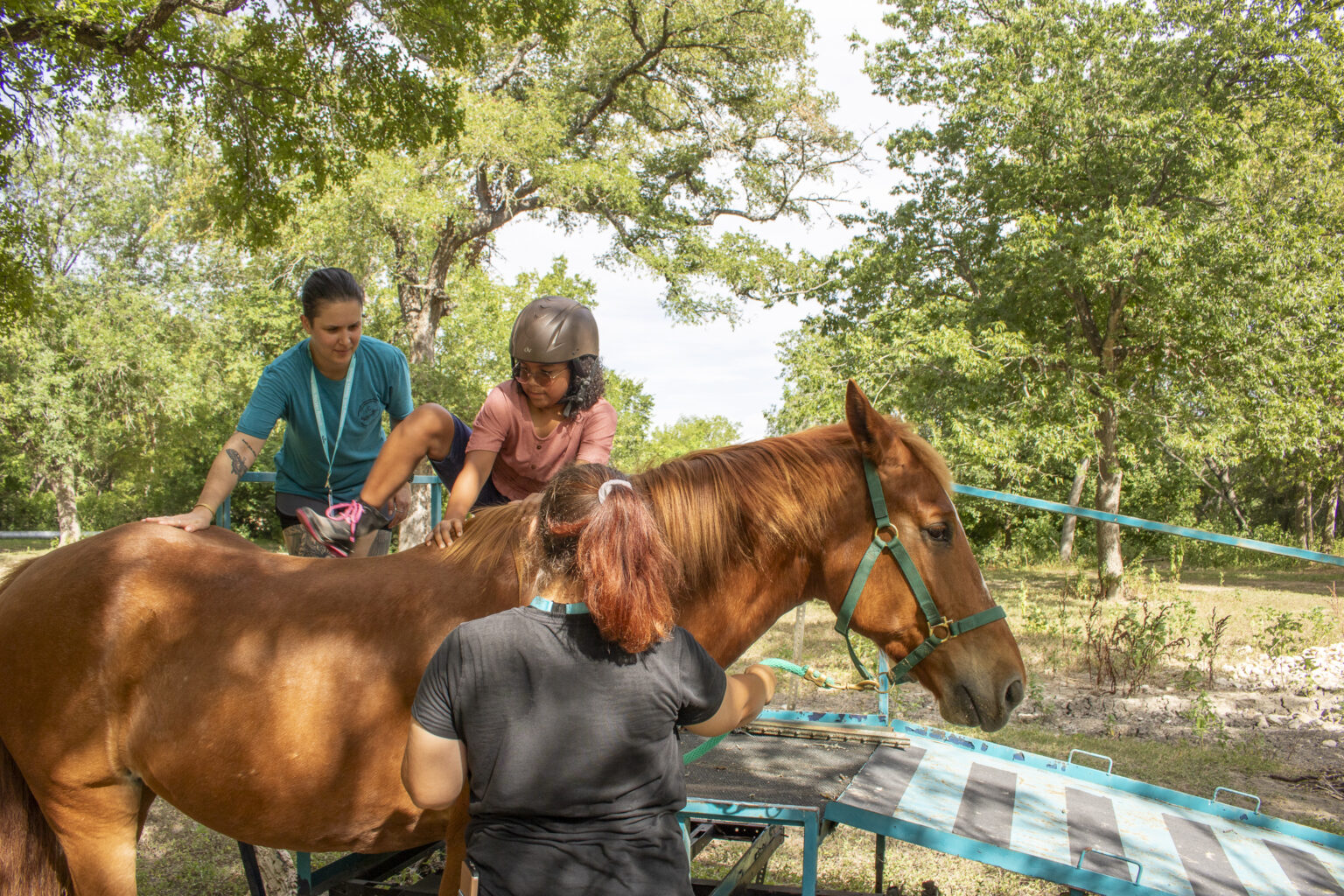 Community Workshops & Trainings - Healing with Horses Ranch