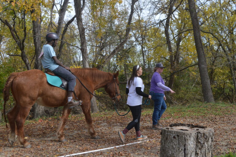Community Workshops & Trainings - Healing with Horses Ranch