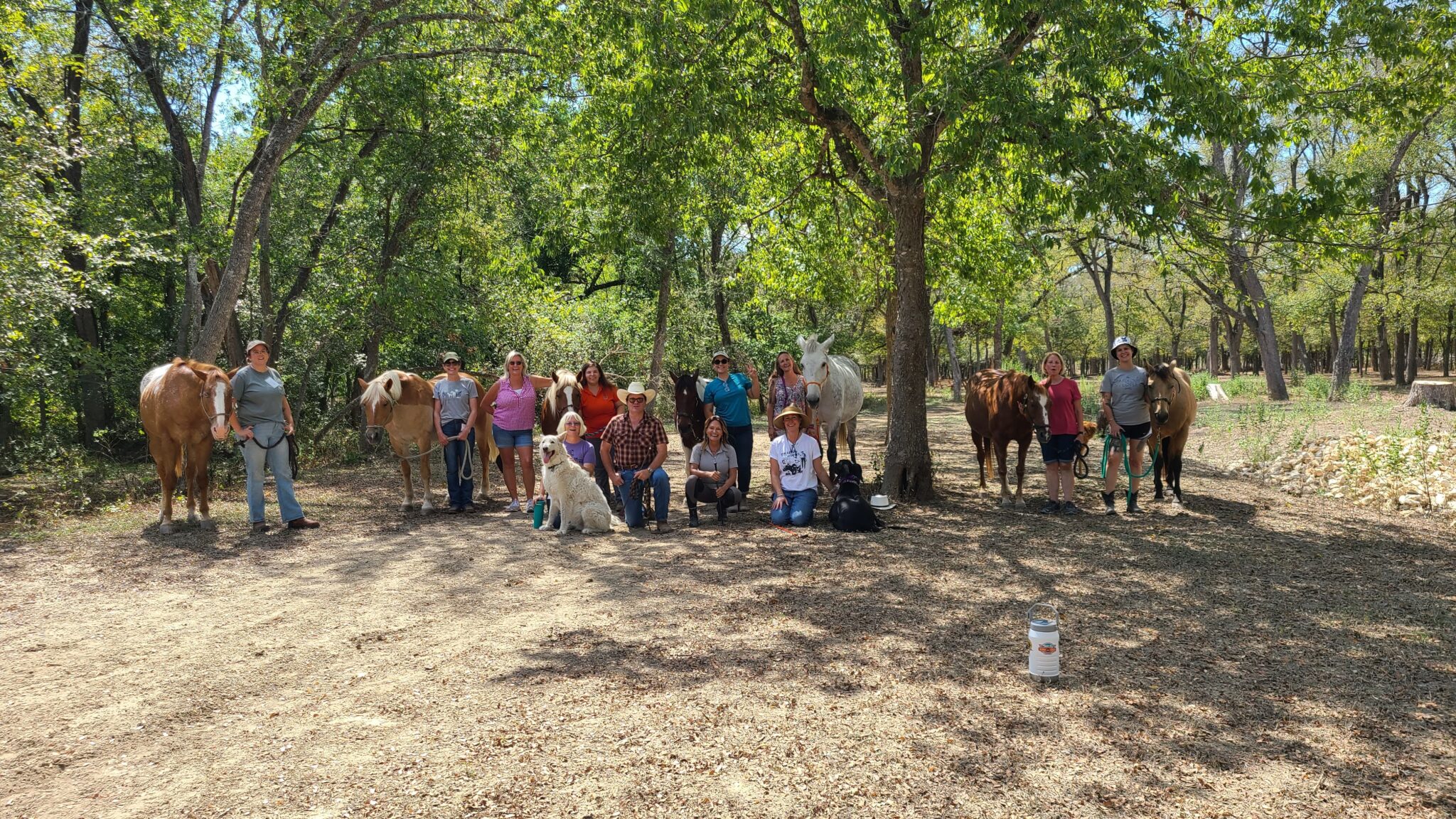 Community Workshops & Trainings - Healing with Horses Ranch