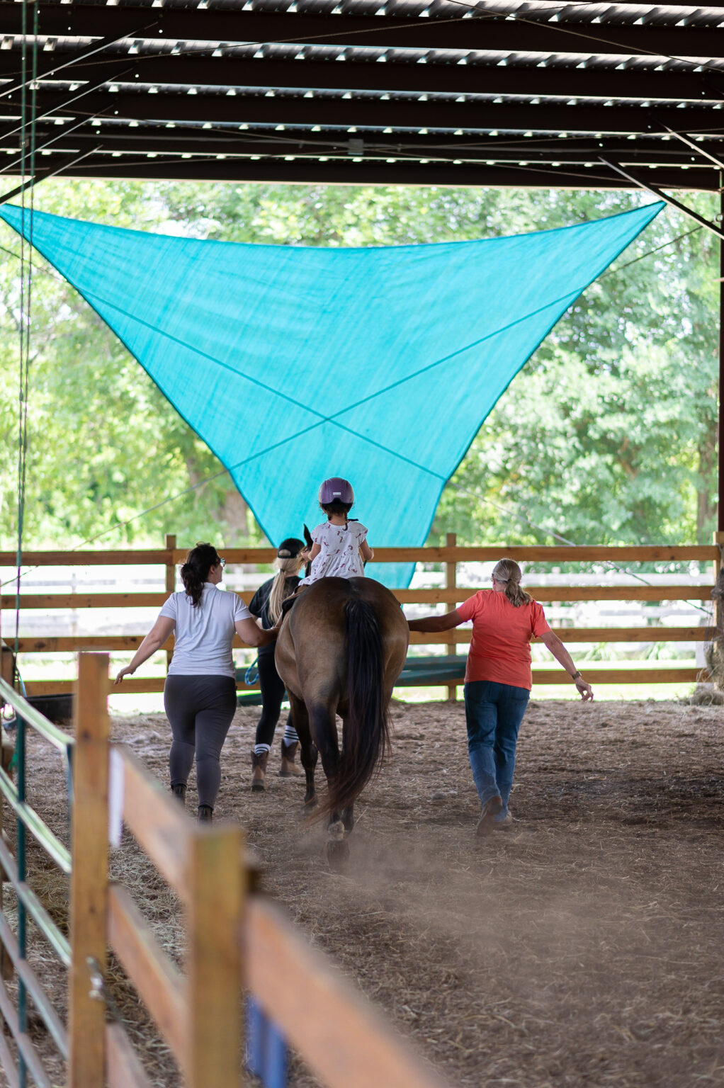 Healing with Horses Ranch – Where horses heal… body, mind, and soul