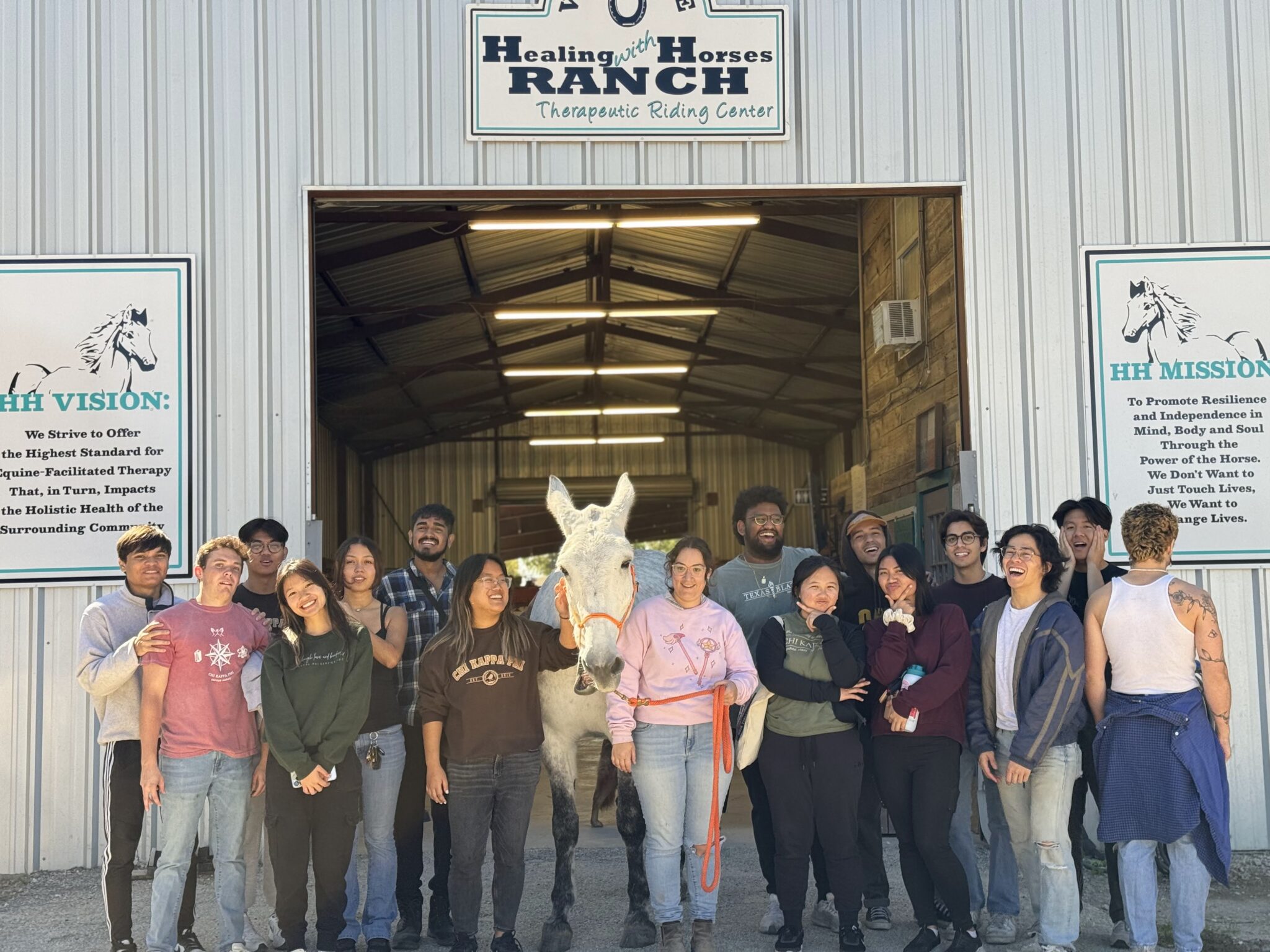 Group Volunteering - Healing with Horses Ranch